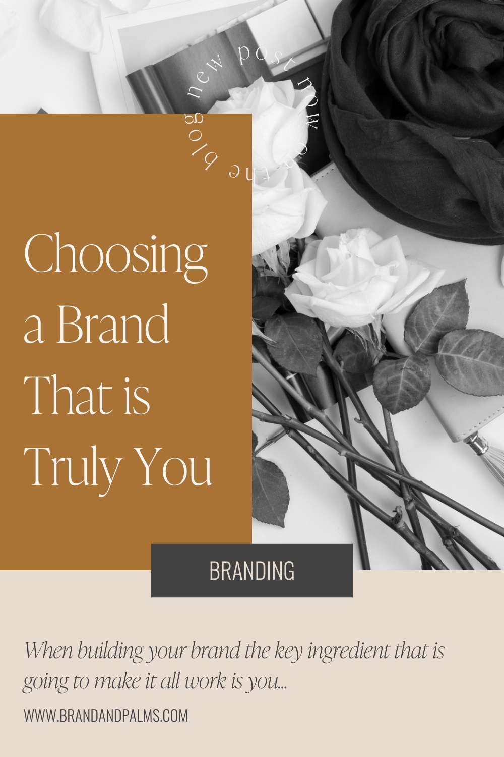 Choosing a Brand That is Truly You | Brand & Palms